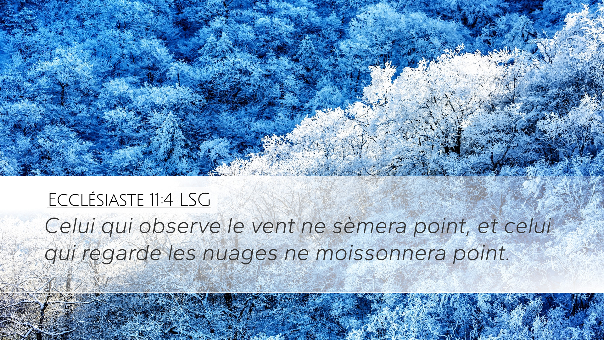 Ecclésiaste 11:4 LSG Desktop Wallpaper - Celui qui observe le vent ne ...