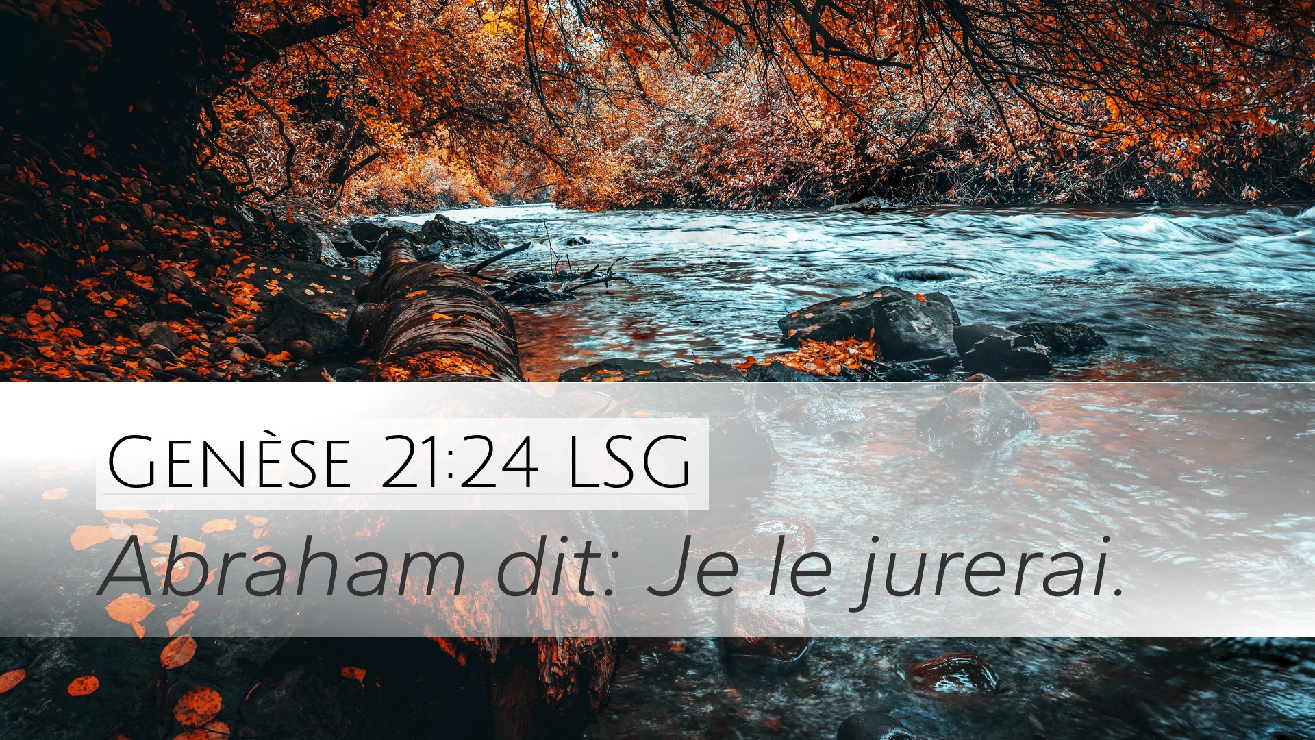 Genèse 21:24 LSG Desktop Wallpaper - Abraham dit: Je le