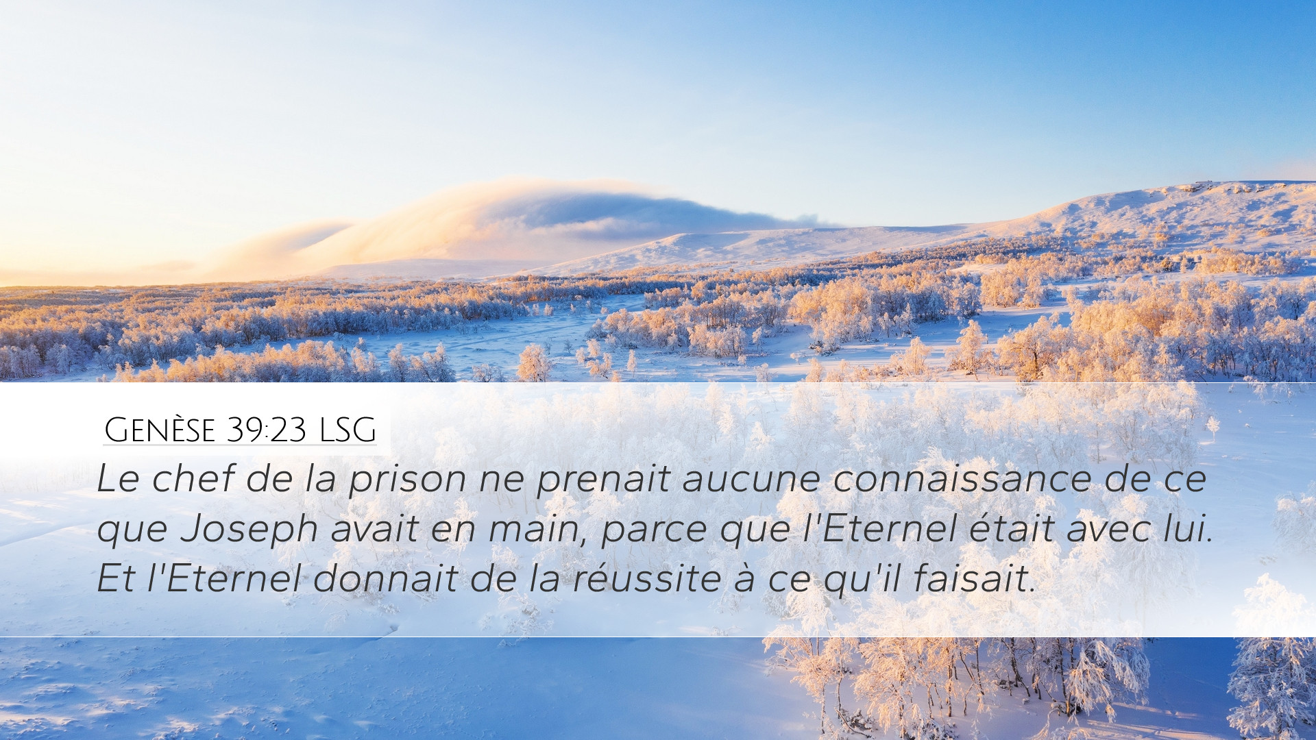 Genèse 39:23 LSG Desktop Wallpaper - Le chef de la prison ne prenait aucune