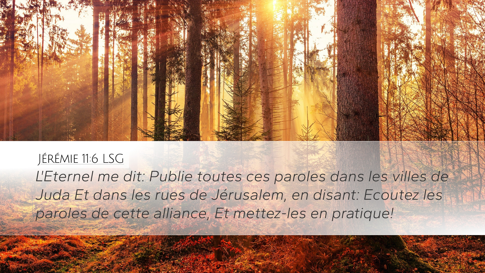 Jérémie 11:6 LSG Desktop Wallpaper - L'Eternel me dit: Publie toutes ...