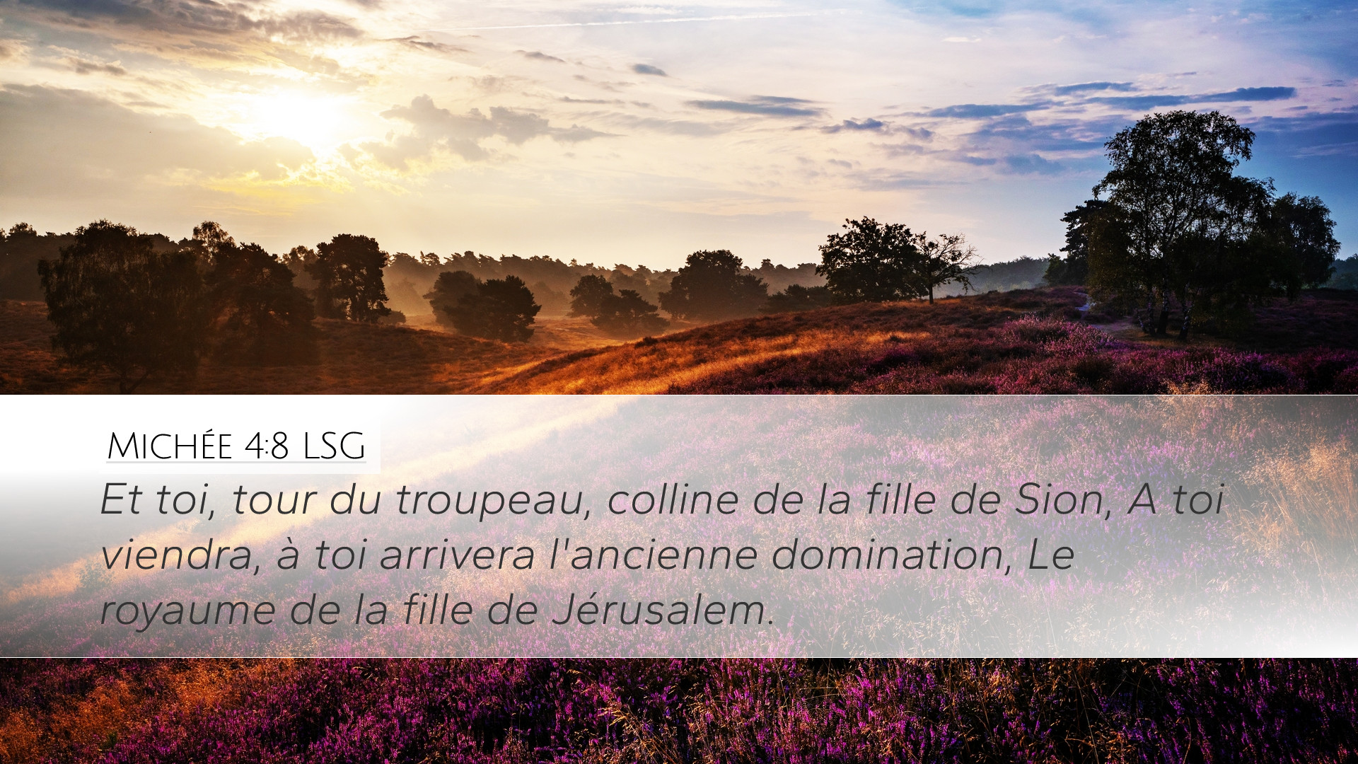 Michée 4:8 LSG Desktop Wallpaper - Et toi, tour du troupeau, colline de ...