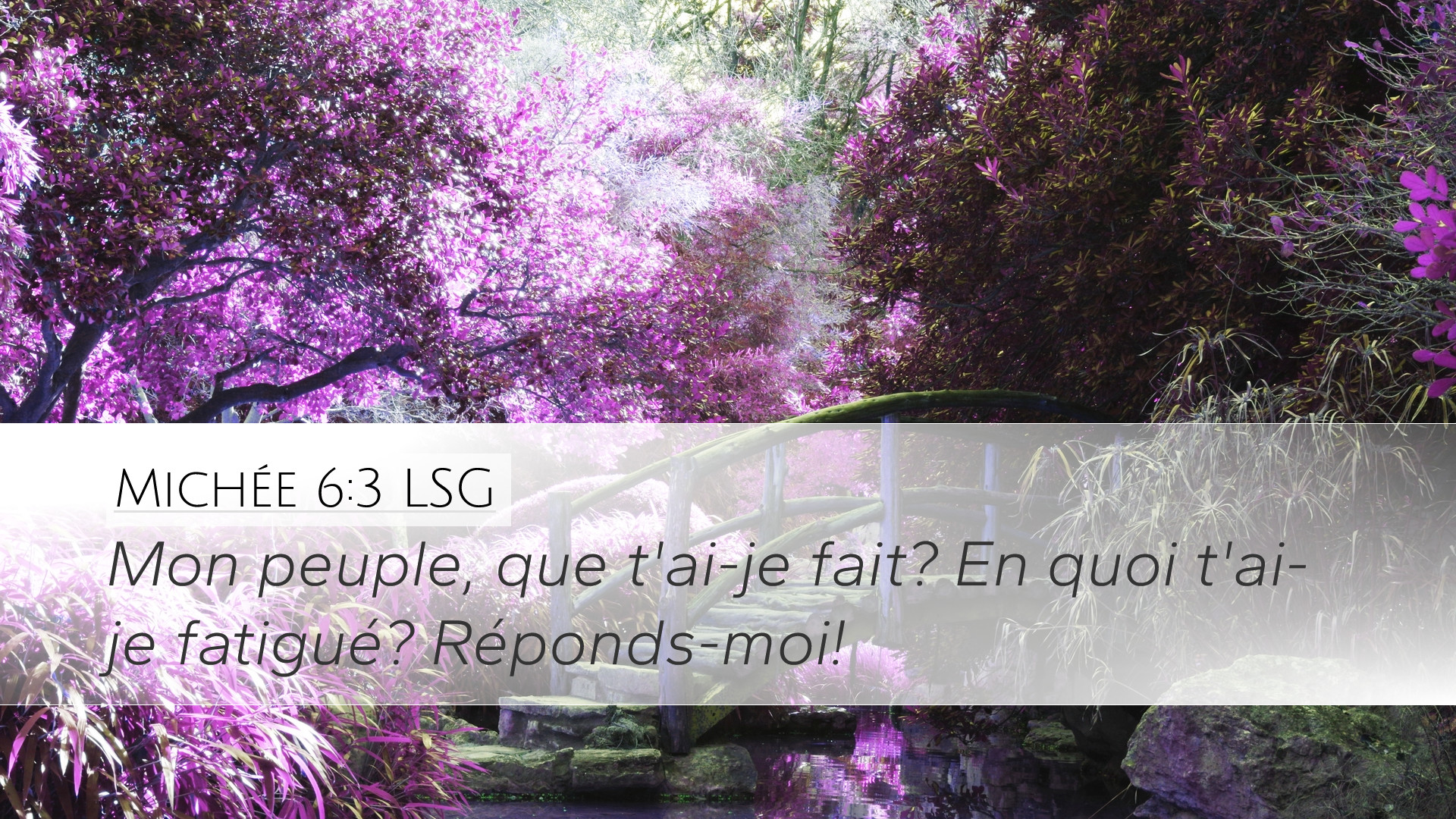 Michée 6:3 LSG Desktop Wallpaper - Mon peuple, que t'ai-je fait? En ...