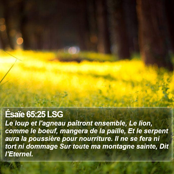 Ésaïe 65 Bible Images - Ésaïe Chapter 65 LSG Bible Verse Pictures