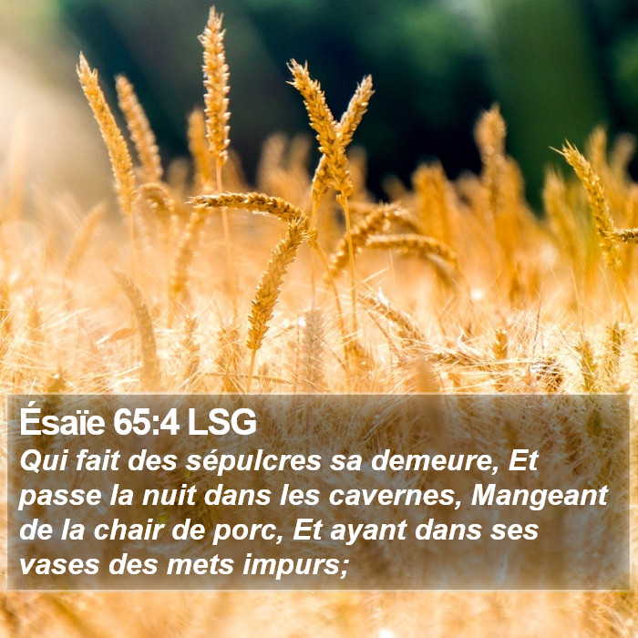 Ésaïe 65:4 LSG - Qui fait des sépulcres sa demeure, Et passe la