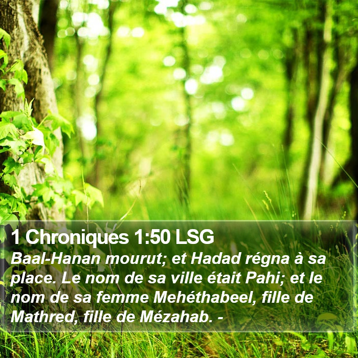 1 Chroniques 1:50 LSG - Baal-Hanan mourut; et Hadad régna à sa place.