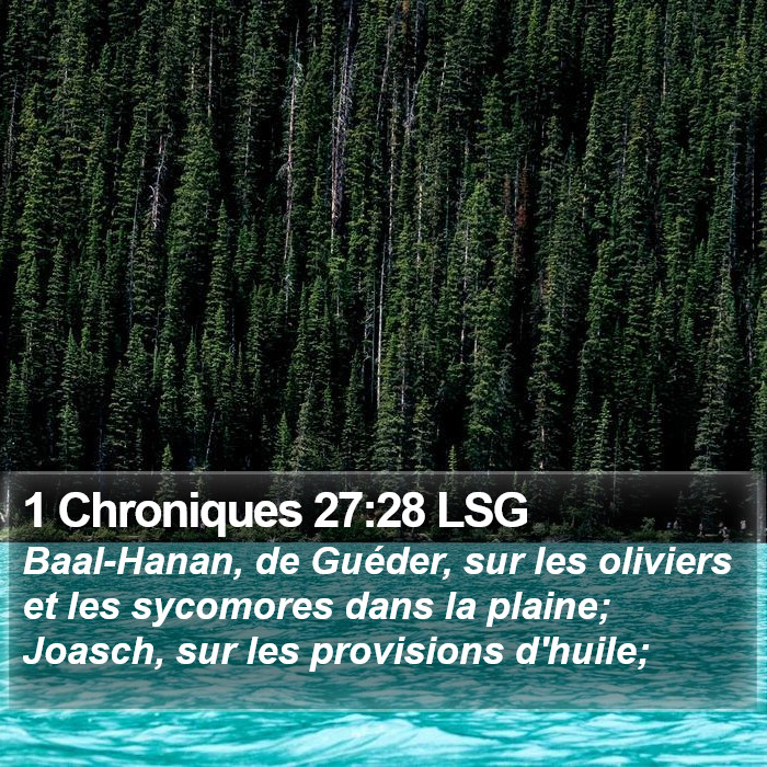 1 Chroniques 27:28 LSG - Baal-Hanan, de Guéder, sur les oliviers et les