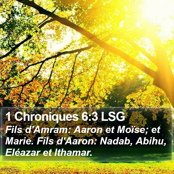 1 Chroniques 6:3 LSG - Fils d'Amram: Aaron et Moïse; et Marie. Fils