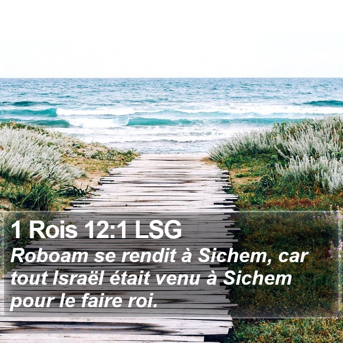 1 Rois 12:1 LSG - Roboam se rendit à Sichem, car tout Israël