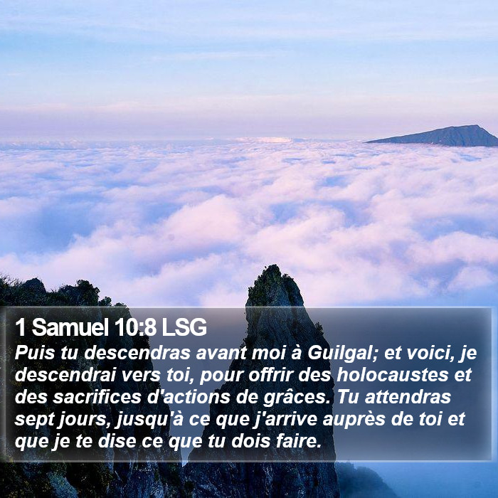 1 Samuel 10:8 LSG - Puis tu descendras avant moi à Guilgal; et
