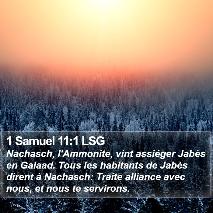 1 Samuel 11:1 LSG - Nachasch, l'Ammonite, vint assiéger Jabès en