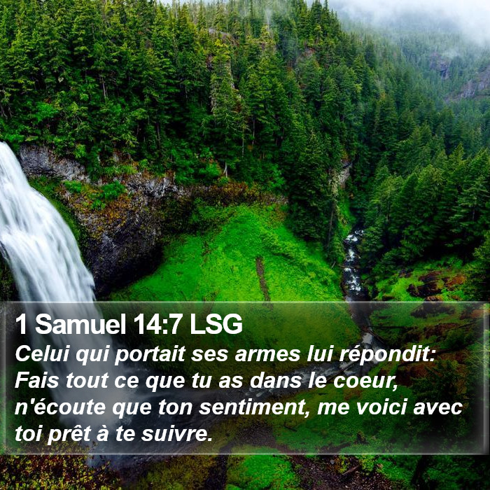 1 Samuel 14:7 LSG - Celui qui portait ses armes lui répondit: Fais