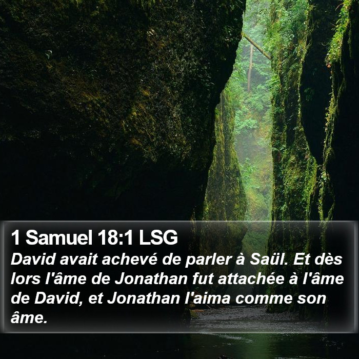 1 Samuel 18:1 LSG - David avait achevé de parler à Saül. Et dès