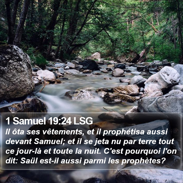 1 Samuel 19 Bible Images - 1 Samuel Chapter 19 LSG Bible Verse Pictures