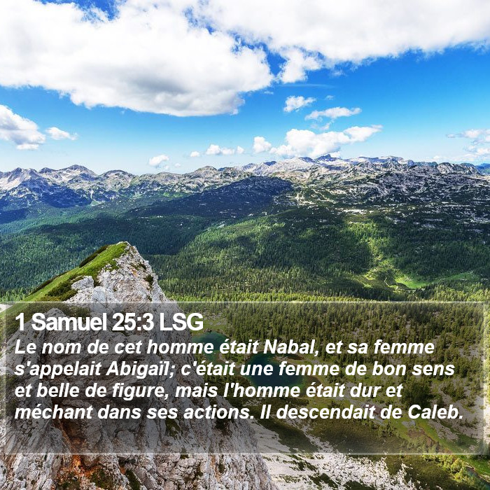 1 Samuel 25:3 LSG - Le nom de cet homme était Nabal, et sa femme