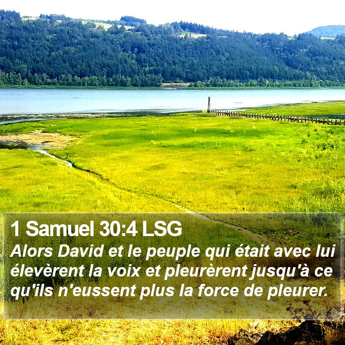 1 Samuel 30:4 LSG - Alors David et le peuple qui était avec lui