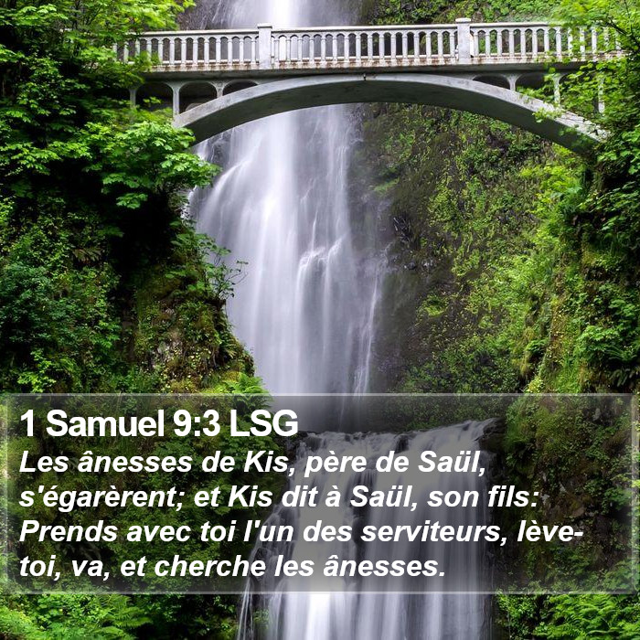 1 Samuel 9:3 LSG - Les ânesses de Kis, père de Saül,