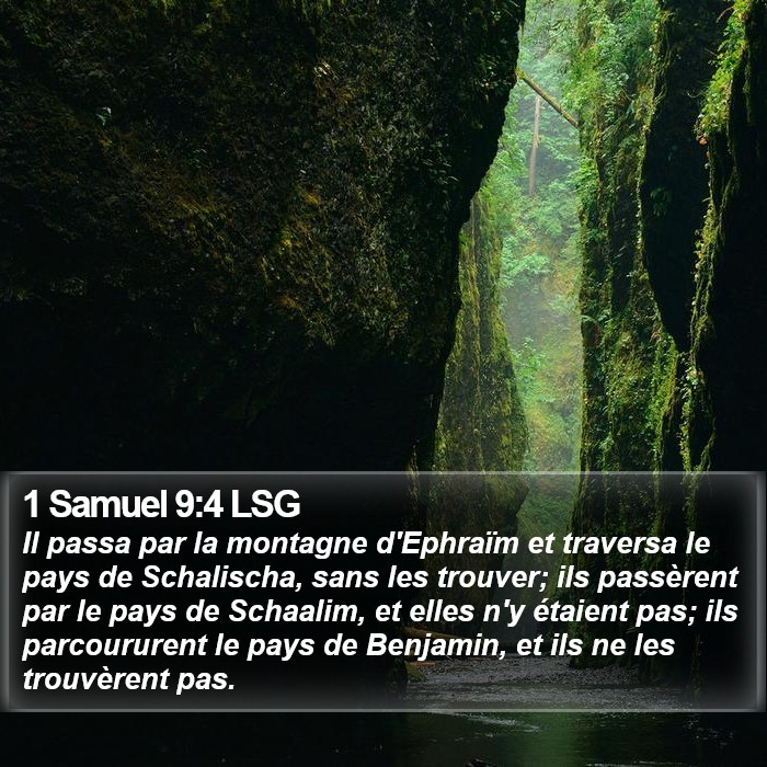 1 Samuel 9:4 LSG - Il passa par la montagne d'Ephraïm et traversa