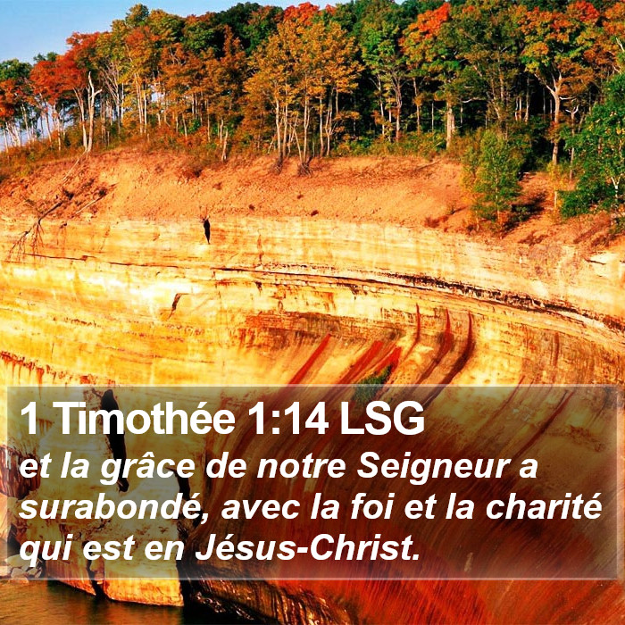 1 Timothée 1:14 LSG - et la grâce de notre Seigneur a surabondé, avec