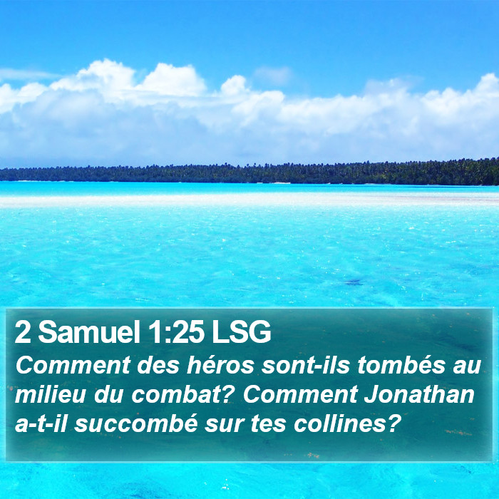 2 Samuel 1:25 LSG - Comment des héros sont-ils tombés au milieu du