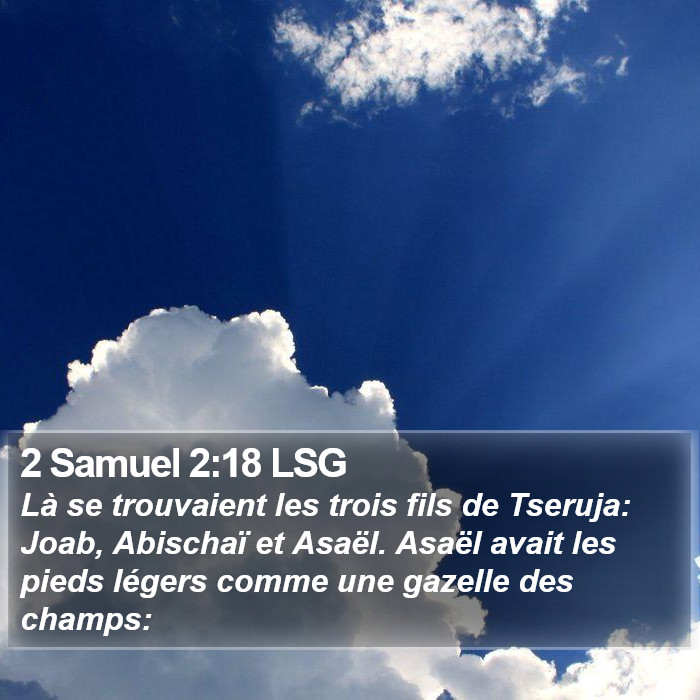 2 Samuel 2:18 LSG - Là se trouvaient les trois fils de Tseruja:
