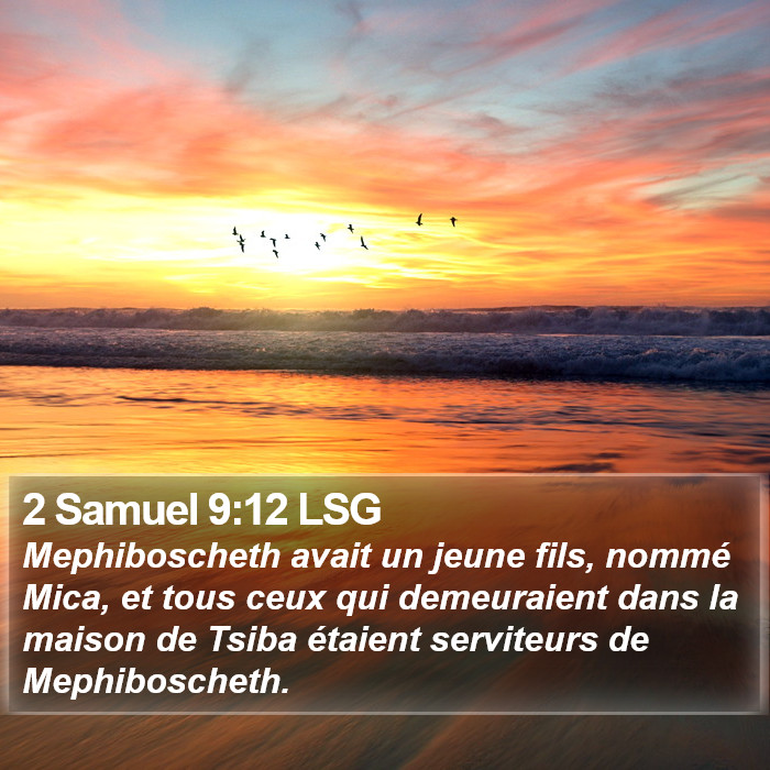 2 Samuel 9:12 LSG - Mephiboscheth avait un jeune fils, nommé Mica,