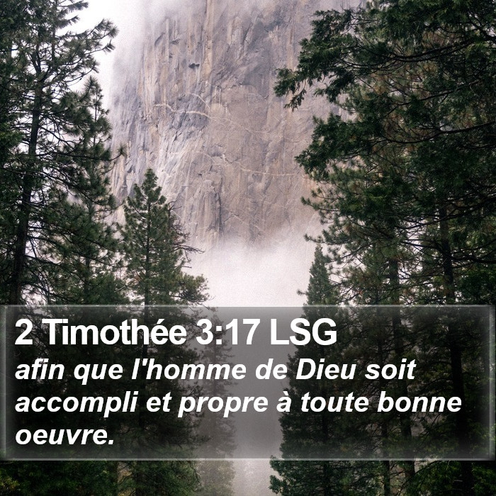 2 Timothée 3 Bible Images - 2 Timothée Chapter 3 LSG Bible Verse Pictures