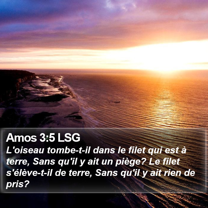 Amos 3:5 LSG - L'oiseau tombe-t-il dans le filet qui est à