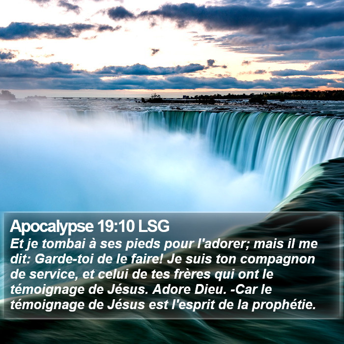 Apocalypse 19:10 LSG - Et je tombai à ses pieds pour l'adorer; mais il