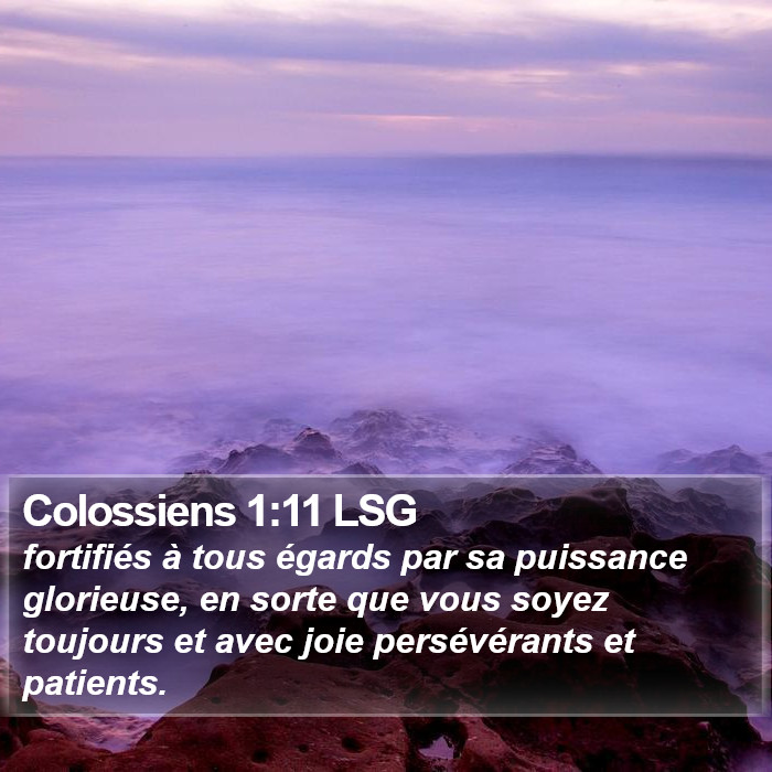Colossiens 1:11 LSG - fortifiés à tous égards par sa puissance