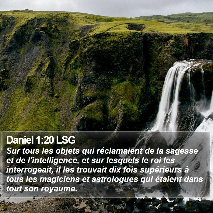 Daniel 1:20 LSG - Sur tous les objets qui réclamaient de la
