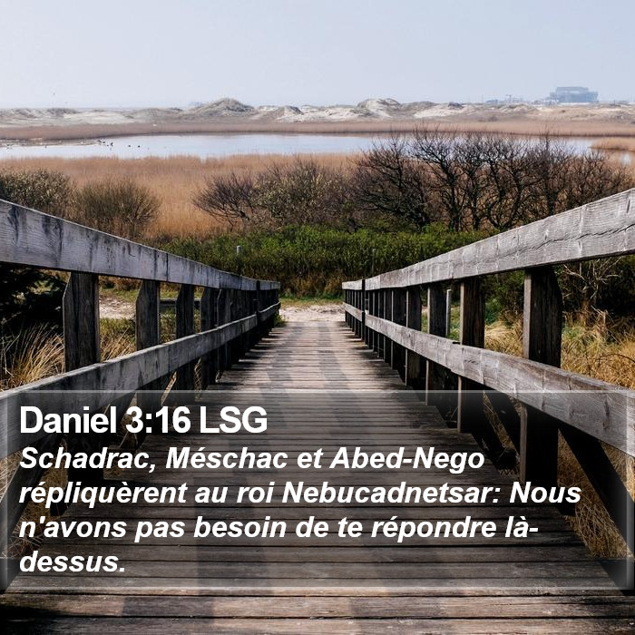 Daniel 3:16 LSG - Schadrac, Méschac et Abed-Nego répliquèrent au