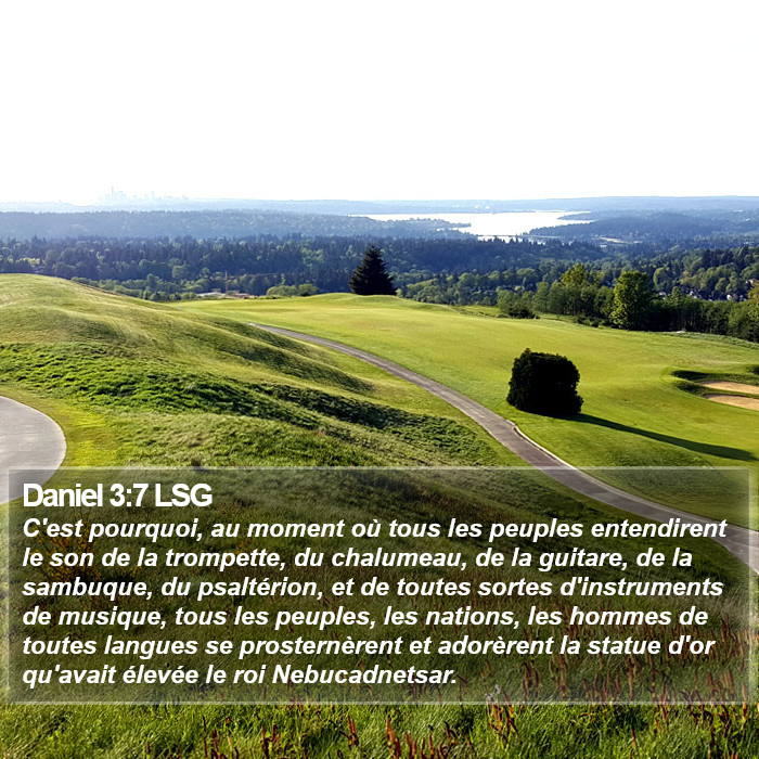 Daniel 3:7 LSG - C'est pourquoi, au moment où tous les peuples