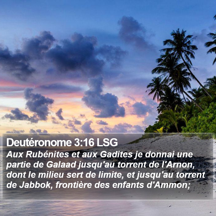 Deutéronome 3:16 LSG - Aux Rubénites et aux Gadites je donnai une