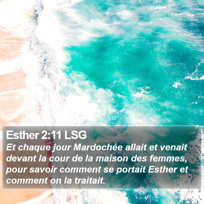 Esther 2:11 LSG - Et chaque jour Mardochée allait et venait devant
