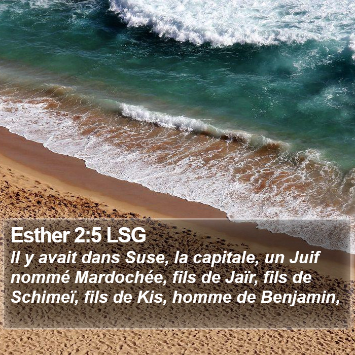 Esther 2:5 LSG - Il y avait dans Suse, la capitale, un Juif nommé