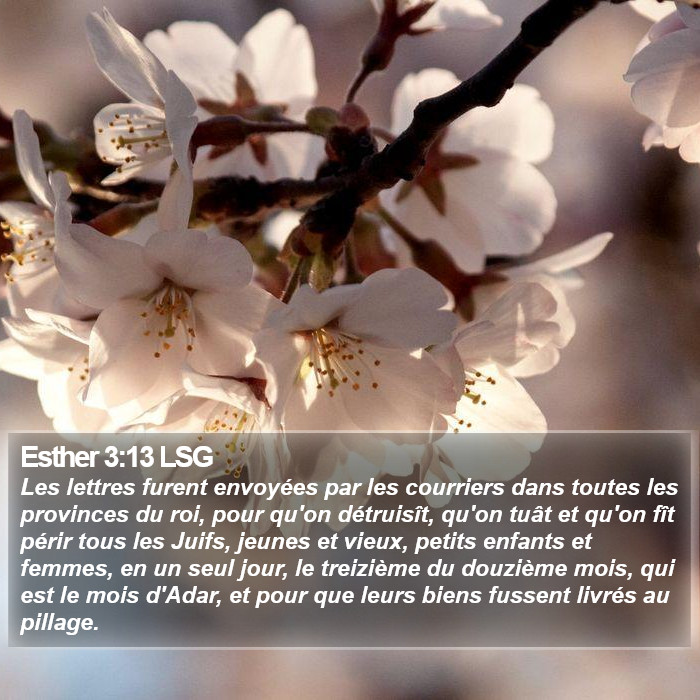 Esther 3:13 LSG - Les lettres furent envoyées par les courriers