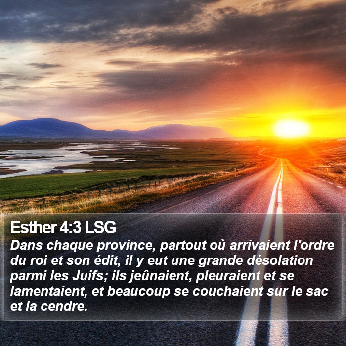 Esther 4:3 LSG - Dans chaque province, partout où arrivaient