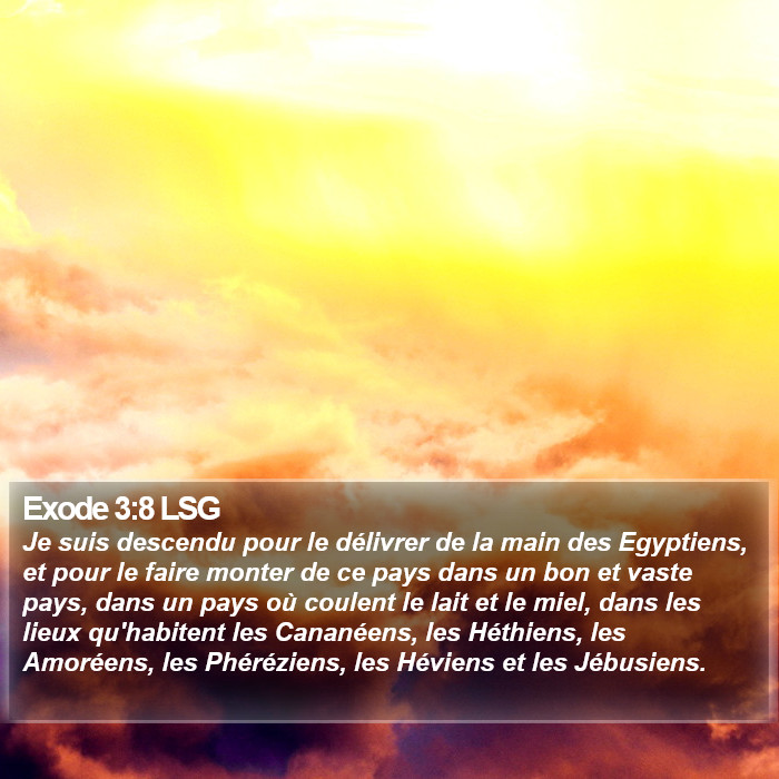 Exode 3:8 LSG - Je suis descendu pour le délivrer de la main des