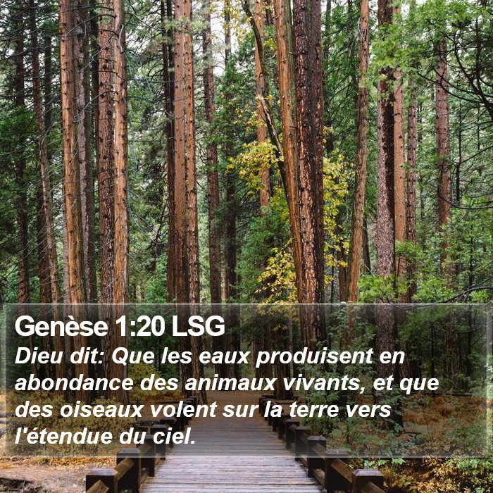 Genèse 1:20 LSG - Dieu dit: Que les eaux produisent en abondance