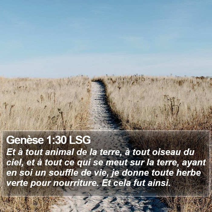 Genèse 1:30 LSG - Et à tout animal de la terre, à tout oiseau du