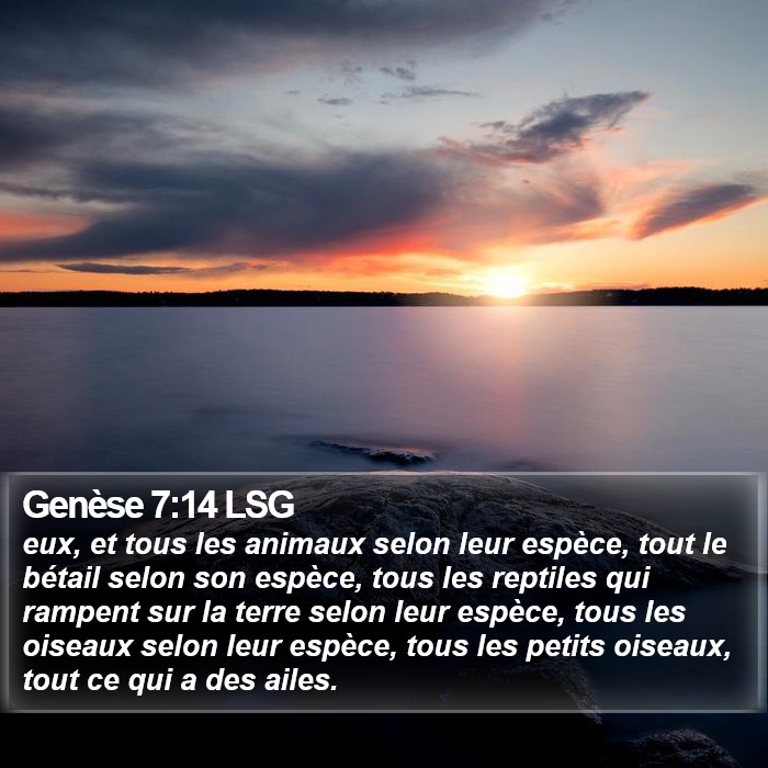 Genèse 7:14 LSG - eux, et tous les animaux selon leur espèce, tout