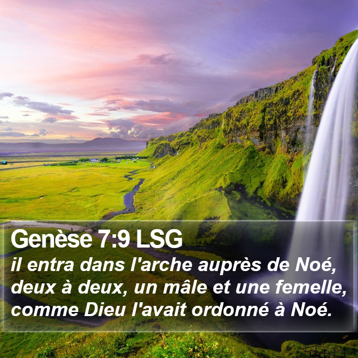 Genèse 7:9 LSG - il entra dans l'arche auprès de Noé, deux à