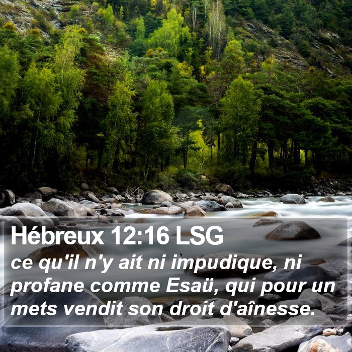 Hébreux 12:16 LSG - ce qu'il n'y ait ni impudique, ni profane comme