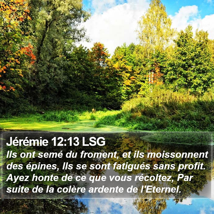 Jérémie 12:13 LSG - Ils ont semé du froment, et ils moissonnent des