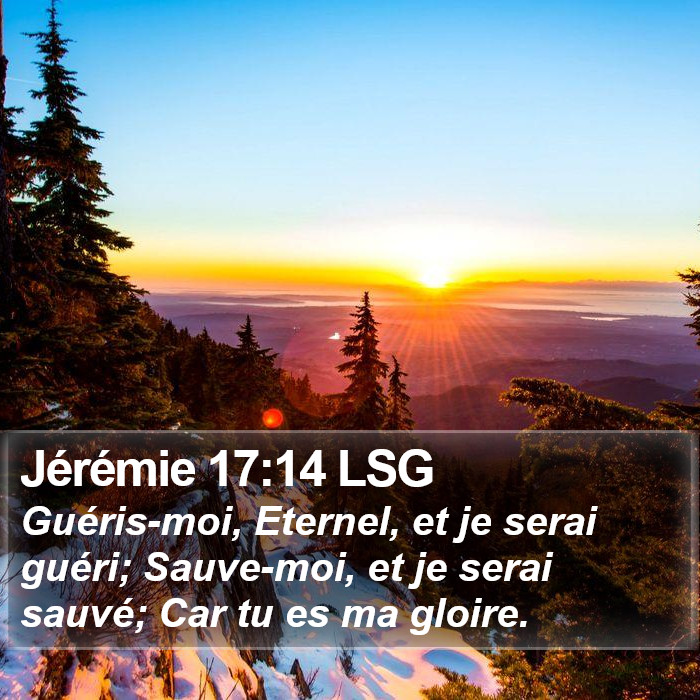 Jérémie 17:14 LSG - Guéris-moi, Eternel, et je serai guéri;