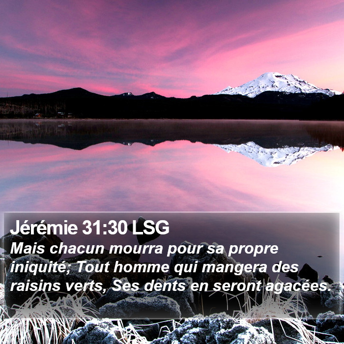 Jérémie 31:30 LSG - Mais chacun mourra pour sa propre iniquité; Tout