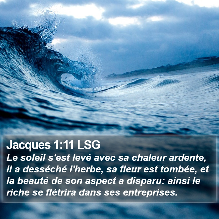 Jacques 1:11 LSG - Le soleil s'est levé avec sa chaleur ardente, il