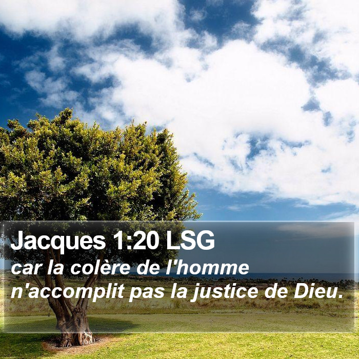 Jacques 1:20 LSG - car la colère de l'homme n'accomplit pas la