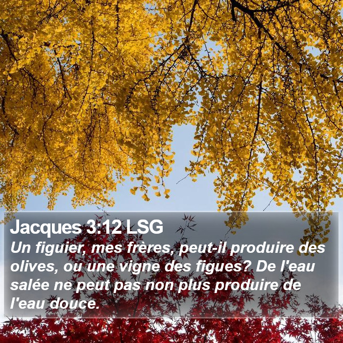 Jacques 3:12 LSG - Un figuier, mes frères, peut-il produire des
