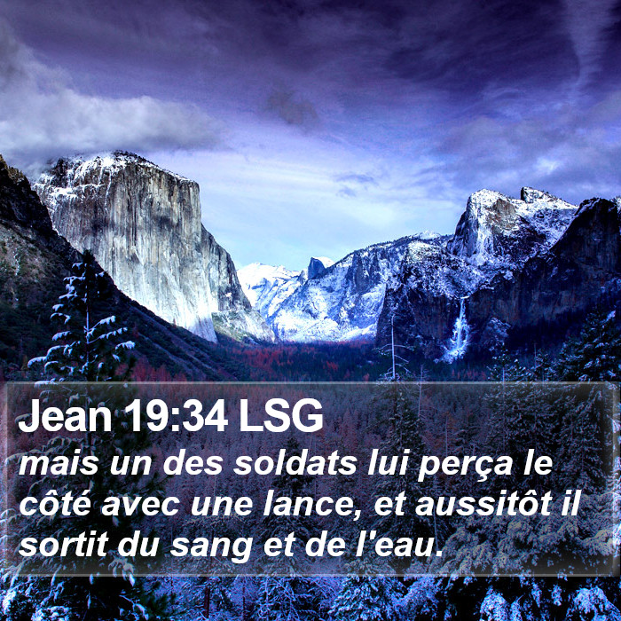 Jean 19:34 LSG - mais un des soldats lui perça le côté avec une
